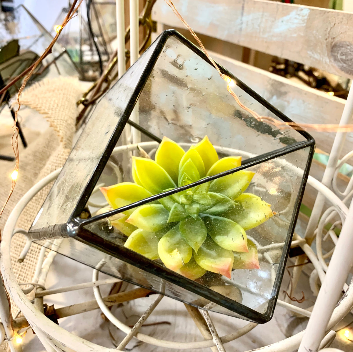 Stained Glass Cube Terrarium – The Picker Artists Store